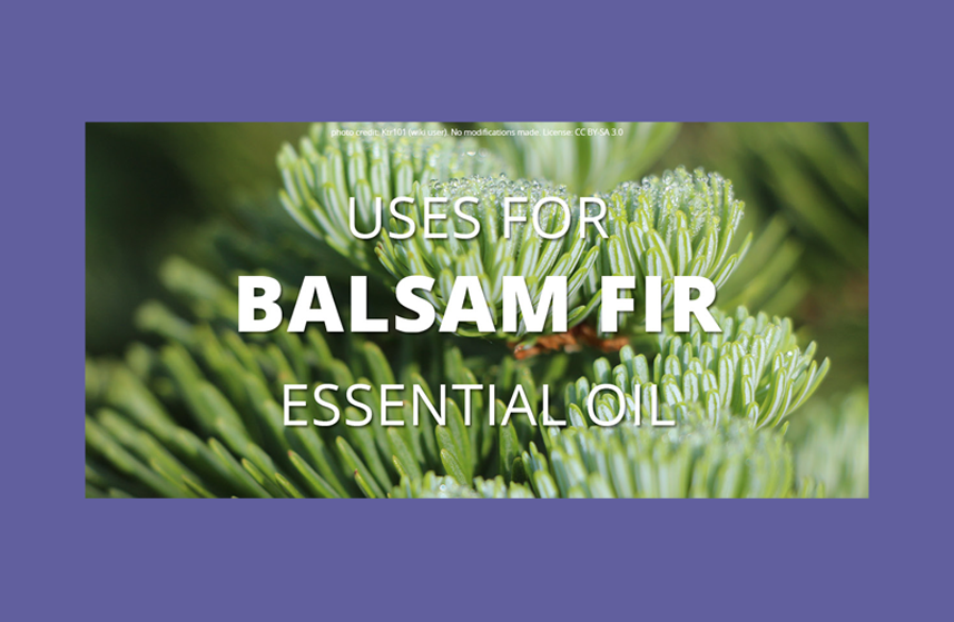 Balsam Fir Essential Oil Uses – MONQ