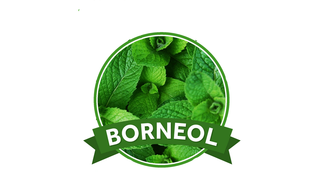Borneol Terpene – MONQ