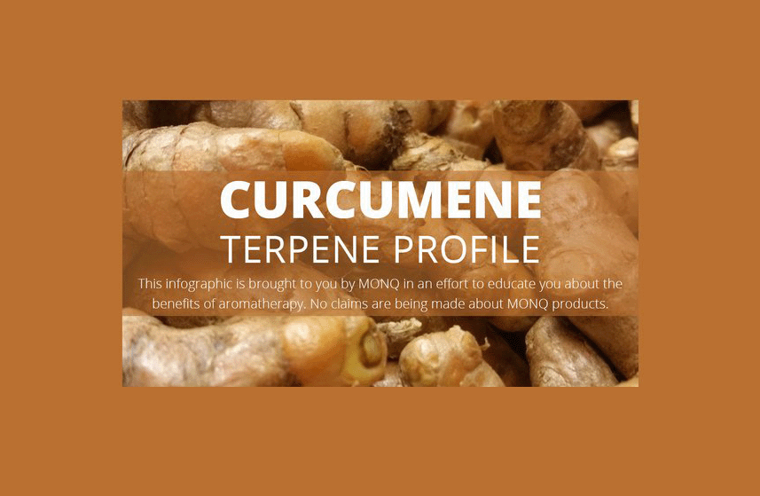 Curcumene Terpene Profile – MONQ