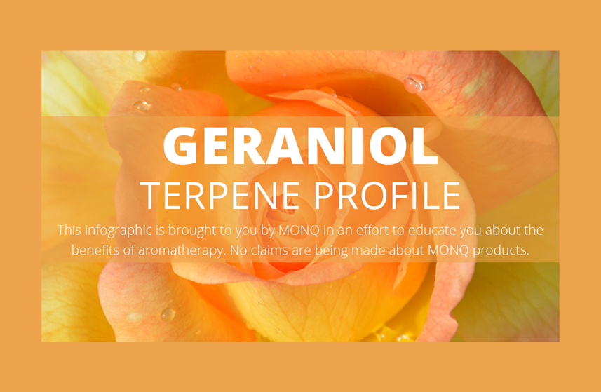 What is Geraniol? – MONQ
