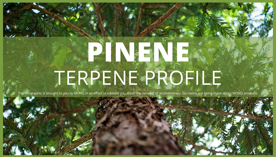 Pinene Terpene Benefits – MONQ