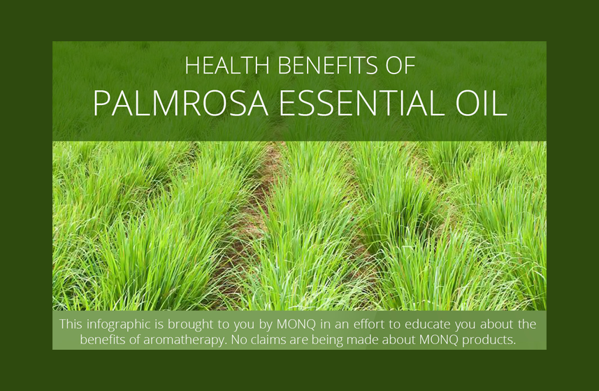 Palmrosa Essential Oil Uses – MONQ