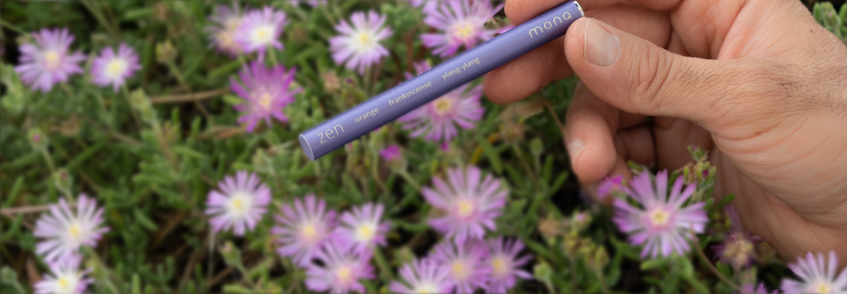 Zen Originals – MONQ